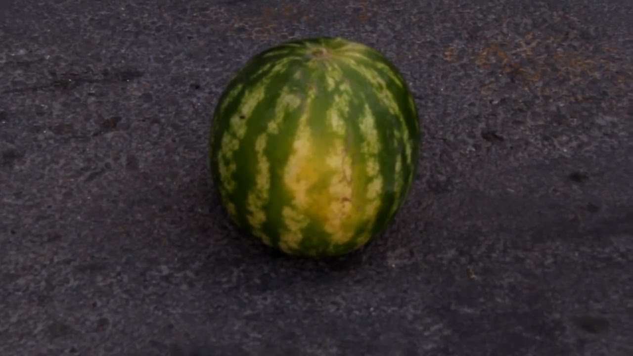 A watermelon story - YouTube