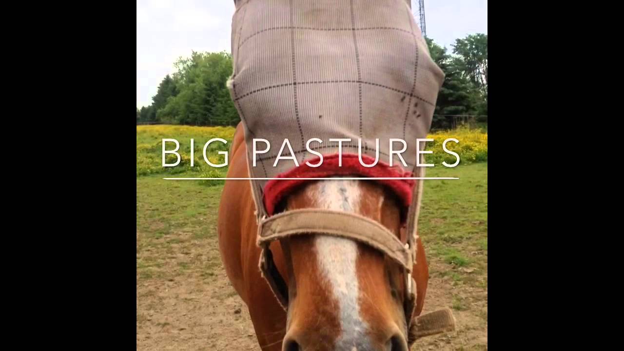 Riverview stables fergus - YouTube