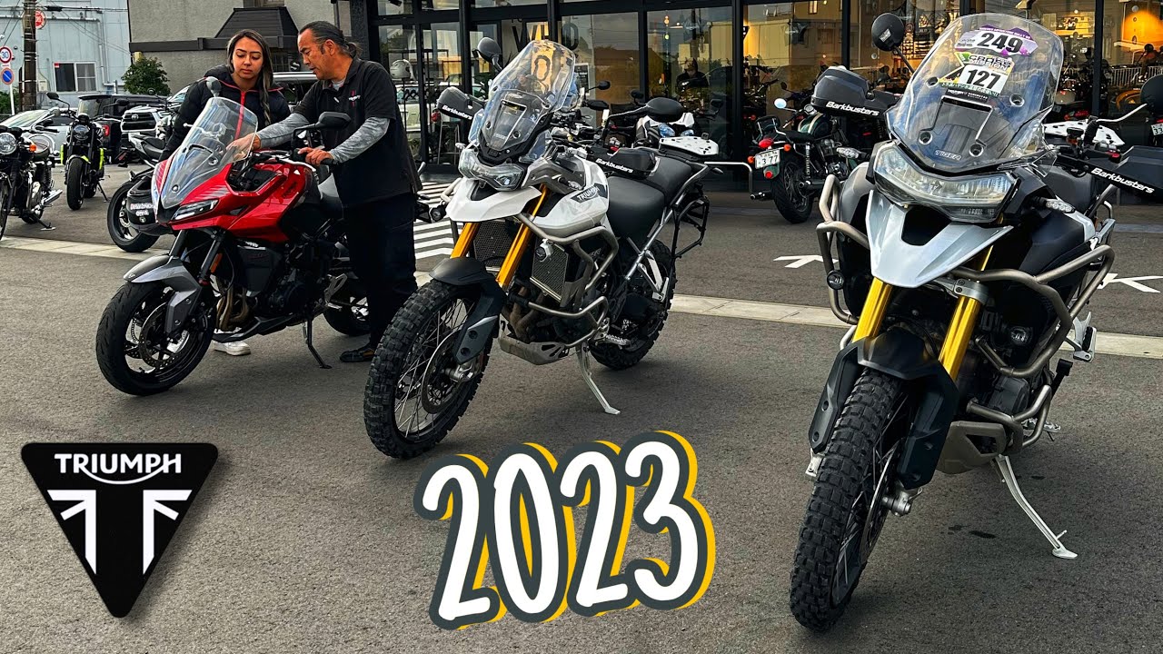 VALE A PENA TER UMA TIGER ? 🤨 - YouTube