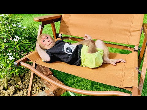 Bibi's Good Habits Every Morning: Brush Teeth - Healthy Breakfast - Sunbathe