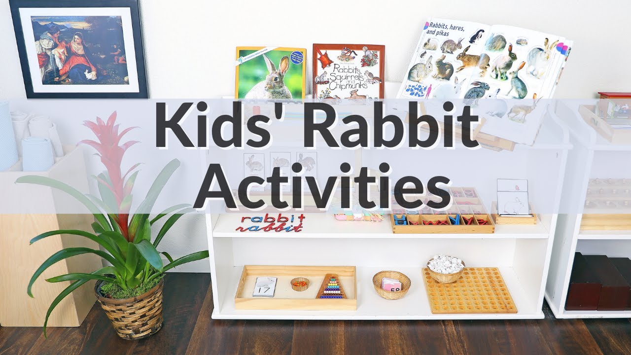Kids' Rabbit Activities, Books, and Montessori Shelves - YouTube