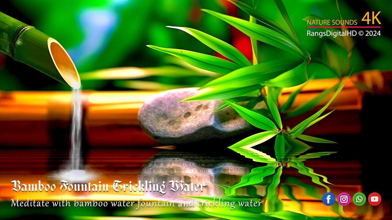 Bamboo Fountain Trickling Water Sound for Relaxing Studying Sleeping ...