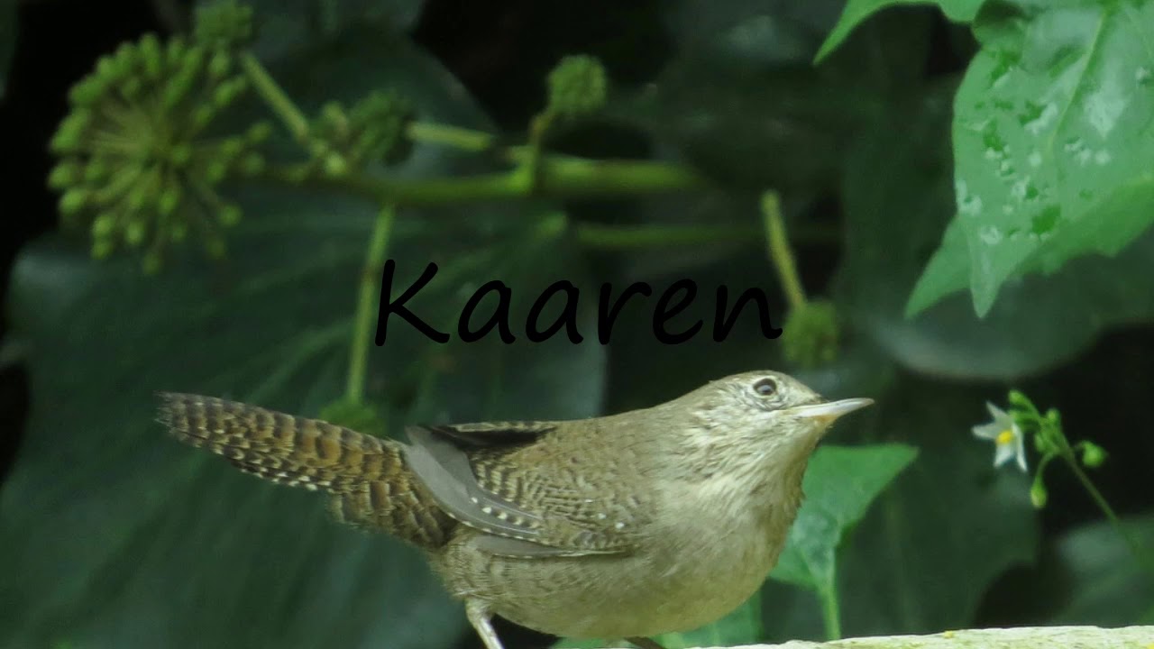 How to Pronounce Kaaren? - YouTube