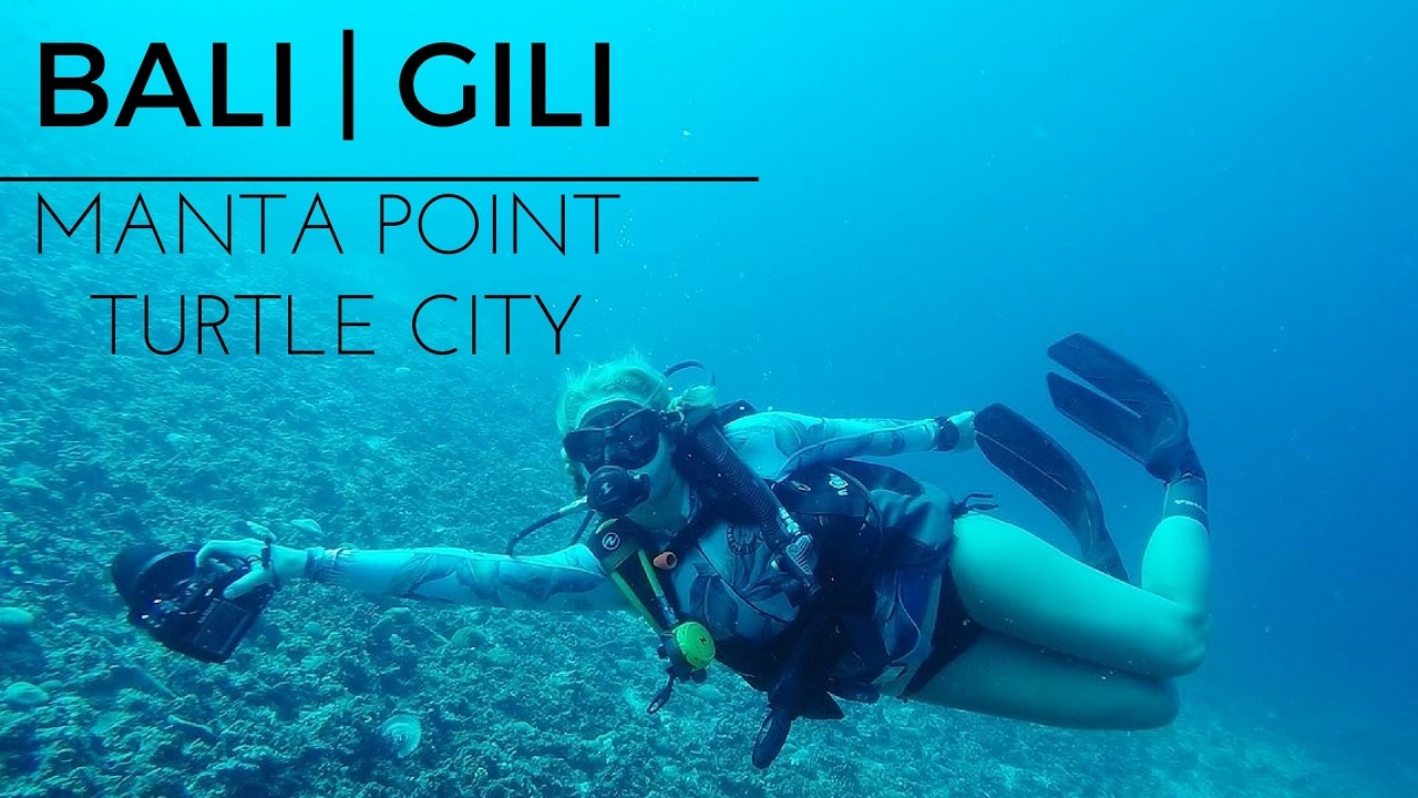 Manta Point & Turtle City, Bali & Gili | GoPro - YouTube