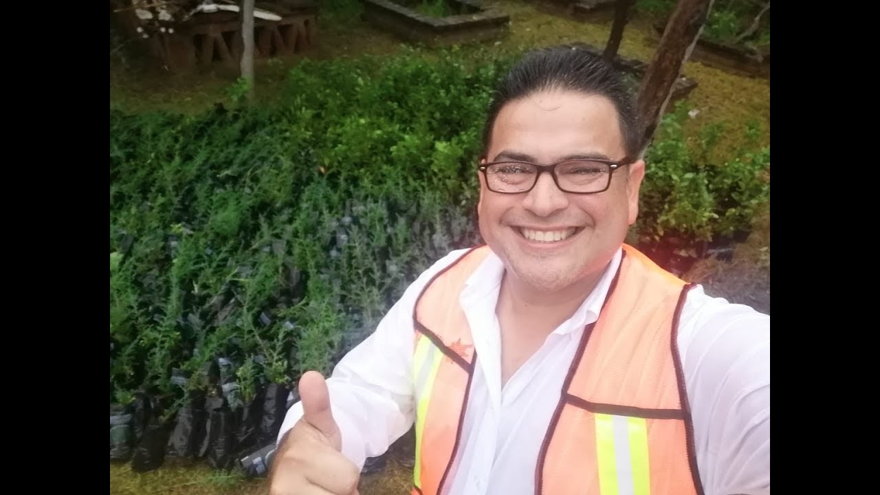 Alí Camacho recibe miles de arbolitos para reforestar Etchojoa - YouTube