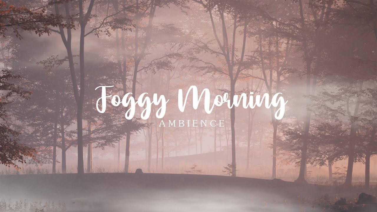 Foggy Morning Ambience with light rain, rustling leaves, and birdsong ...