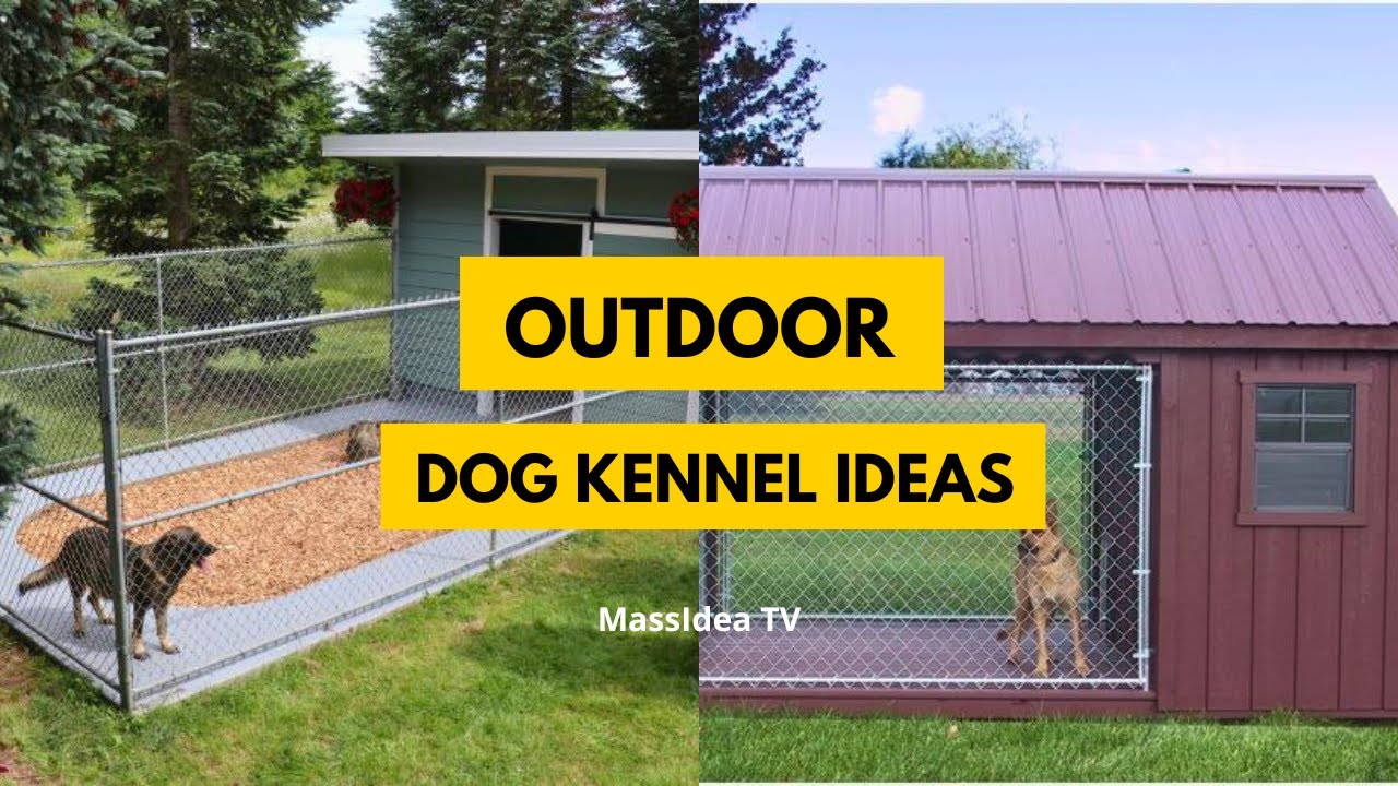 Outdoor Dog Kennel Ideas