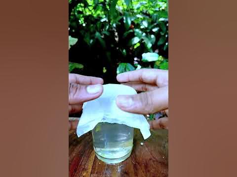 Tissue and Water Bottle Experiment || Easy Science Experiment With ...