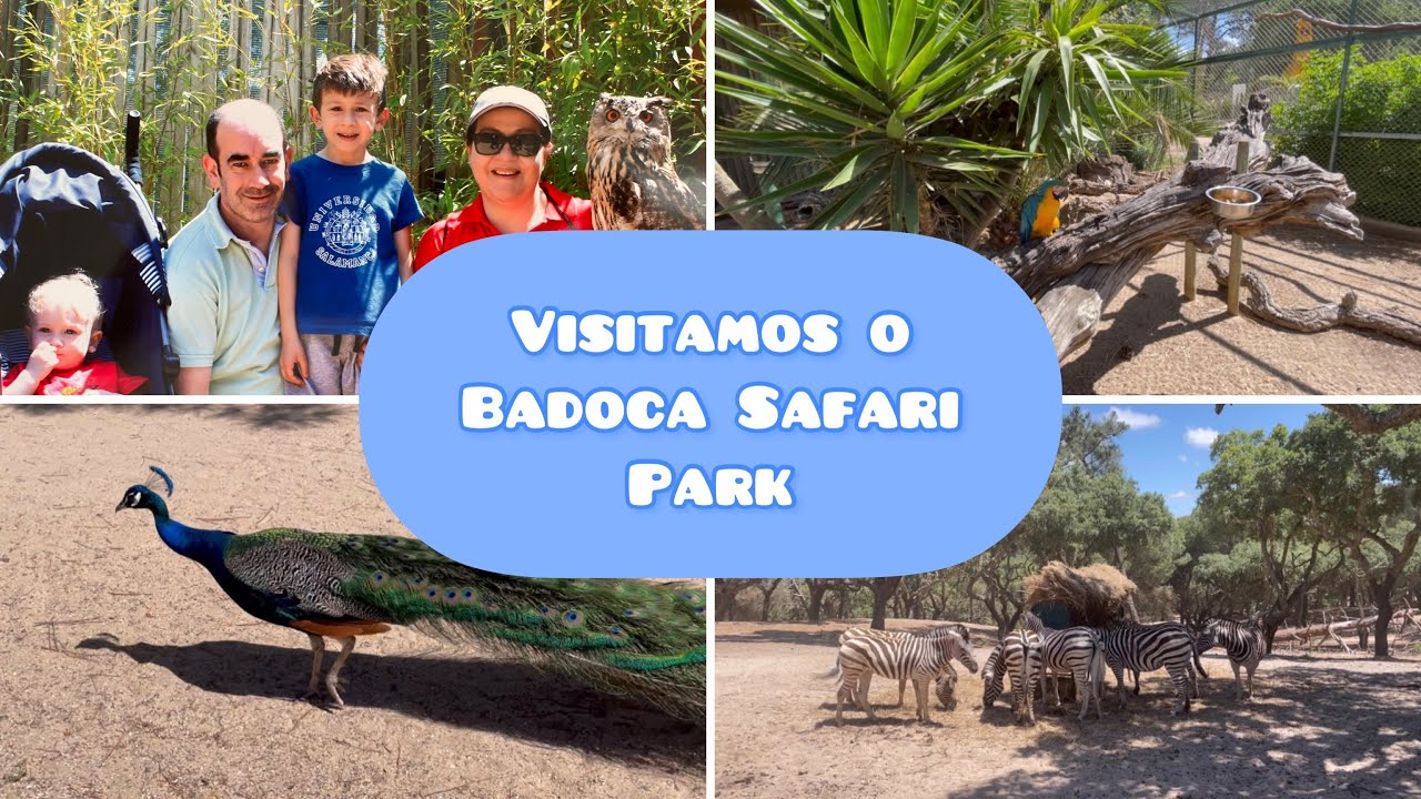 Um dia no Safari Badoca Park em Portugal - tour e dicas. - YouTube