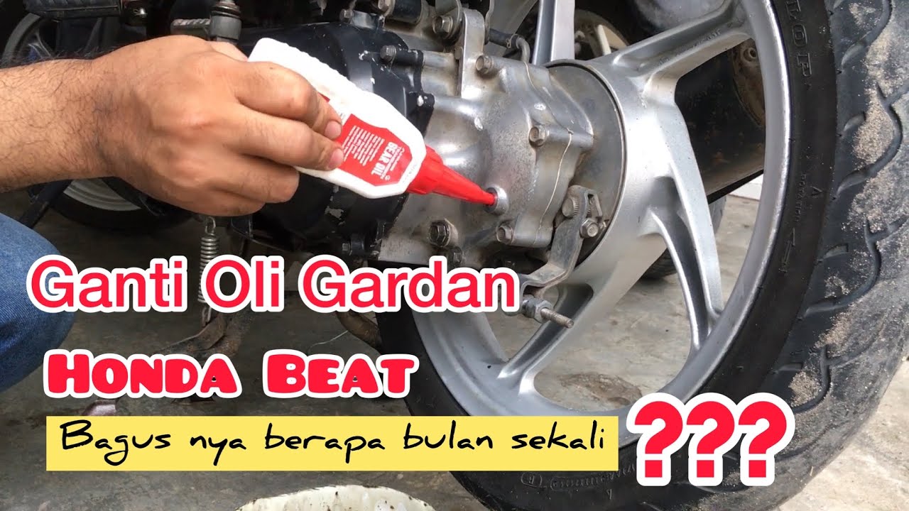 Cara Ganti Oli Gardan Beat - YouTube