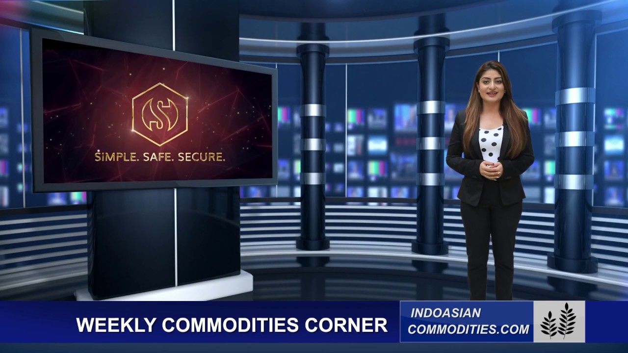 Weekly Update Nov 1 - YouTube