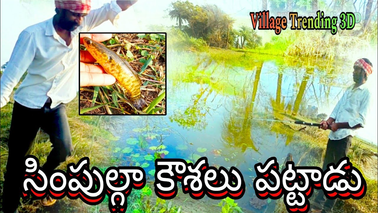 Fish Hunting|Buraka chepalu| Korramenu fish | village fishing #fish ...