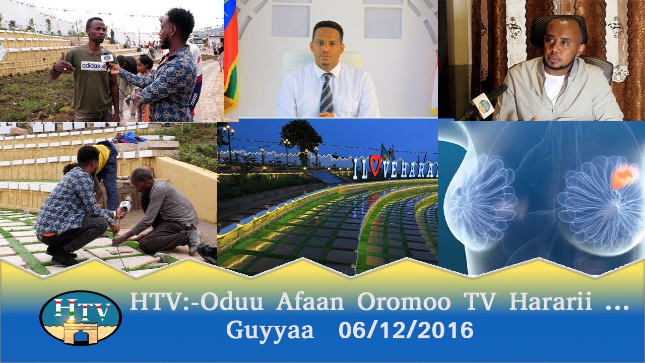 HTV:- Oduu Afaan Oromoo TV Hararii Guyyaa... 06/12/2016 - YouTube