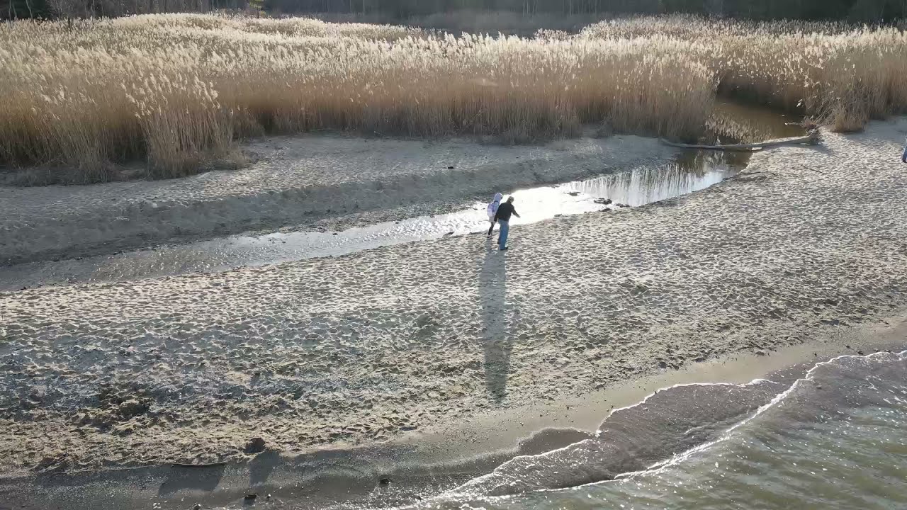 Calvert Cliffs State Park Adventure - YouTube