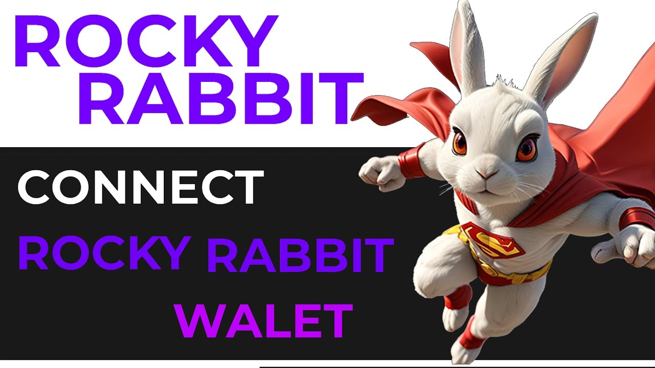 How To Connect Rocky Rabbit Wallet 2024 (BEST METHOD) - YouTube