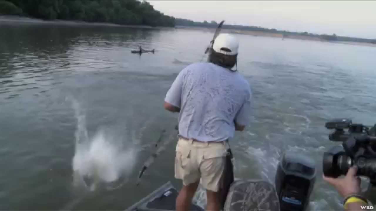 Jumping Silver Carp With John & Joey - YouTube