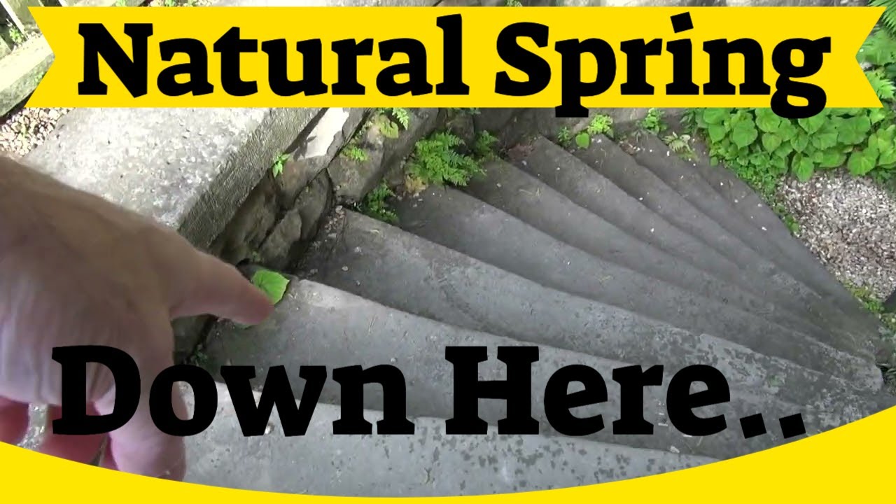 Natural Wonder: Exploring an Eureka Springs’ Actual Spring with Spa Guy ...
