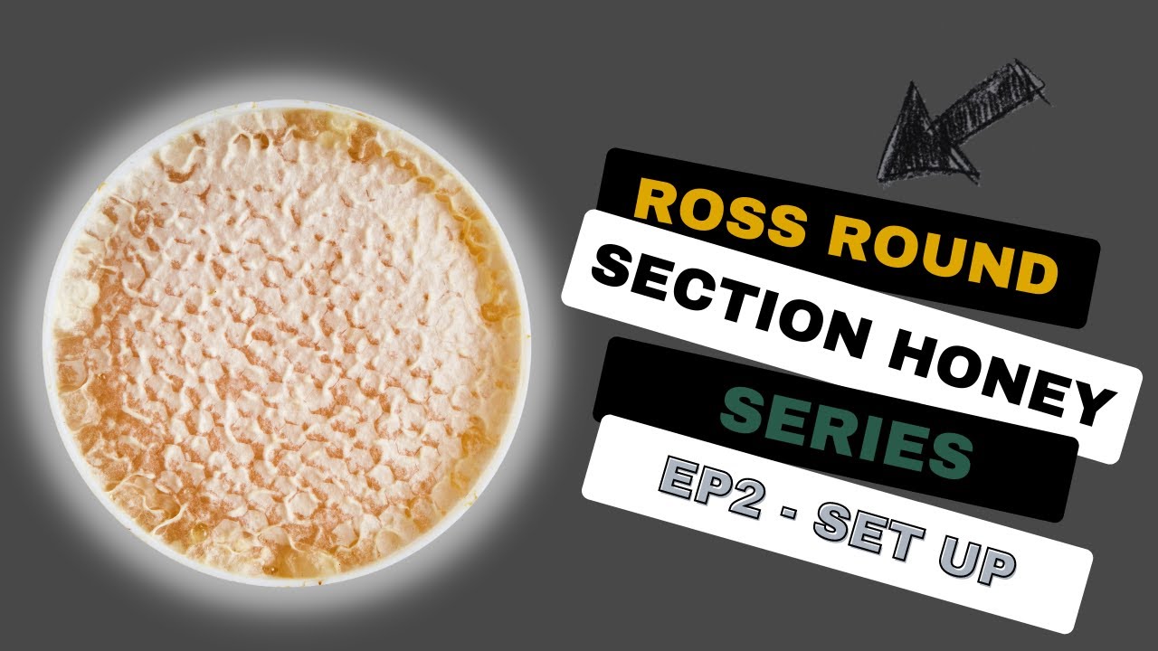 Ep 2 Set Up - Ross Rounds and Wooden Sections - YouTube