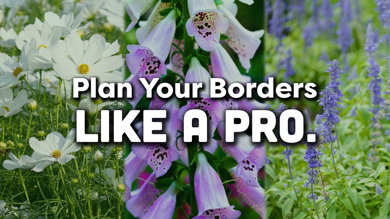 Annuals, Biennials & Perennials Explained: How to Plan Stunning Flower ...