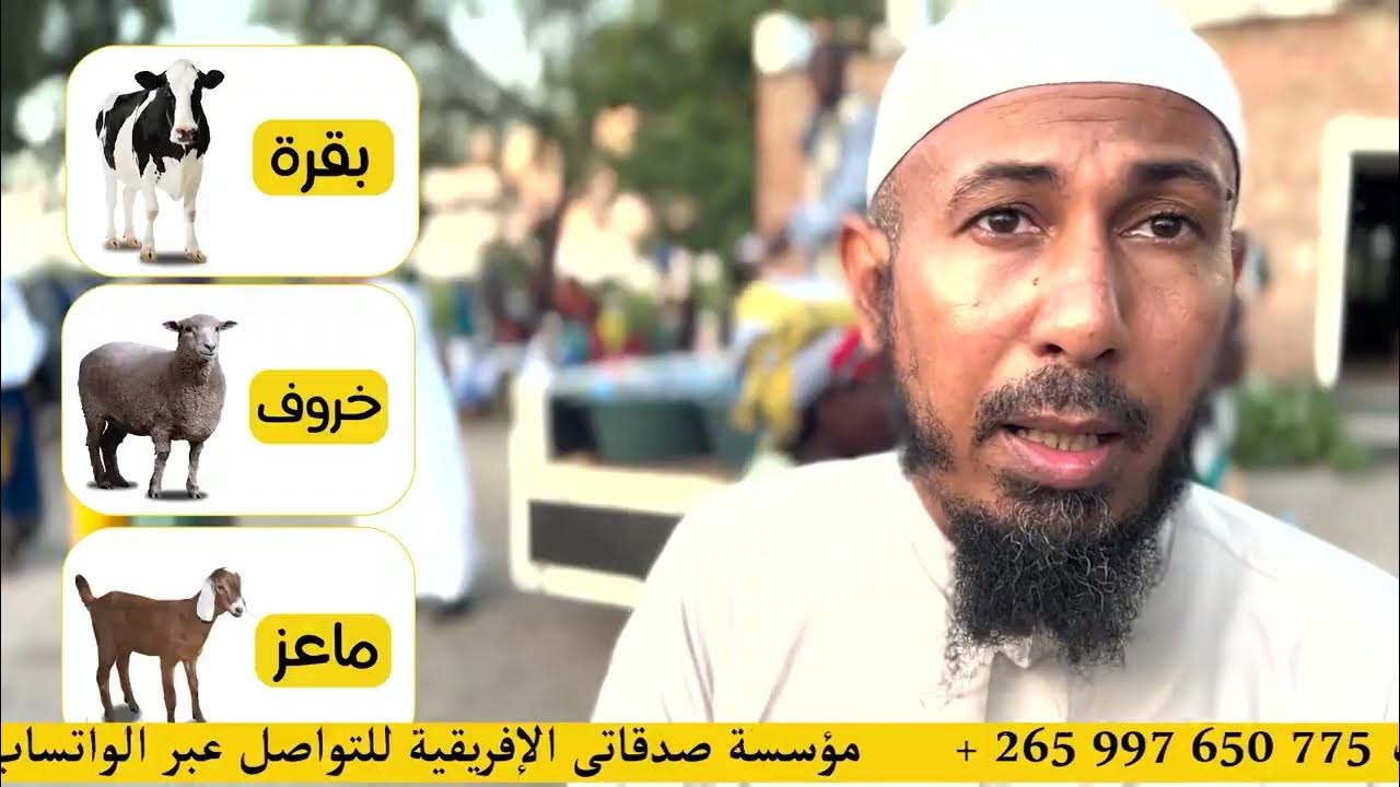 كيف يتم توثيق ذبح العقيقة في افريقيا شرح طريقة التنفيذ تسطتيع تفوضنا الأن Youtube