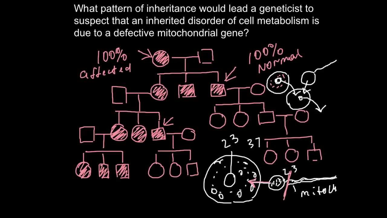 Peculiar properties of mitochondrial disease pedigree - YouTube