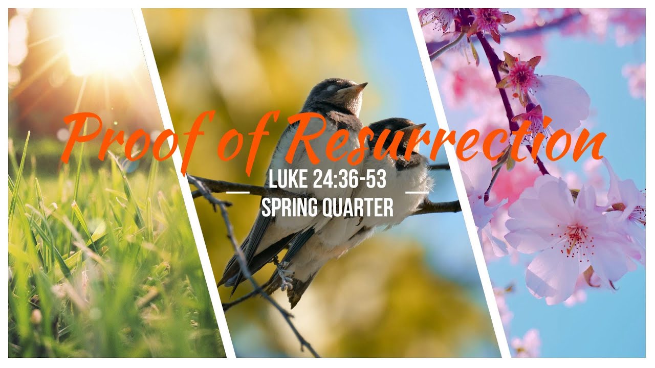 Sunday School - Proofs of the Resurrection - Lesson 7 Spring Quarter ...