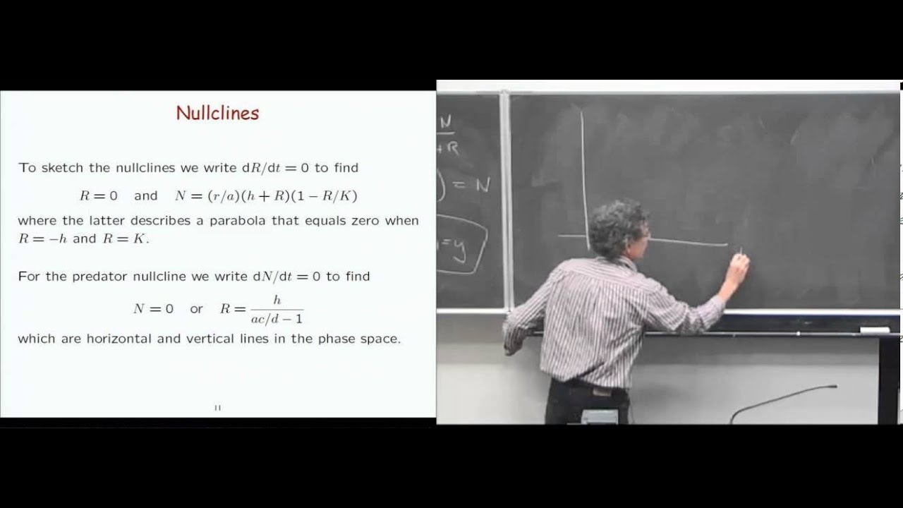 Lecture 4, Theoretische Biologie / Theoretical Biology 2013 - YouTube