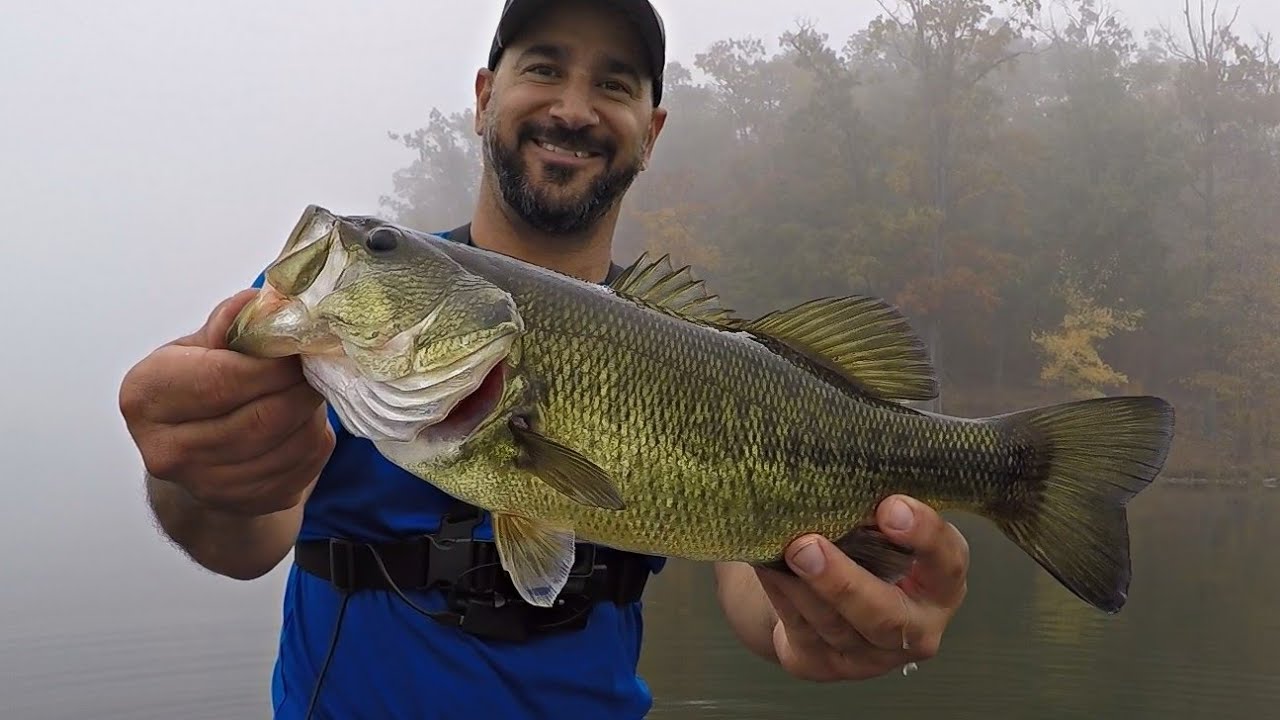 Finesse Bass Fishing in the Fall (Thickest Fog EVER!!!) - YouTube