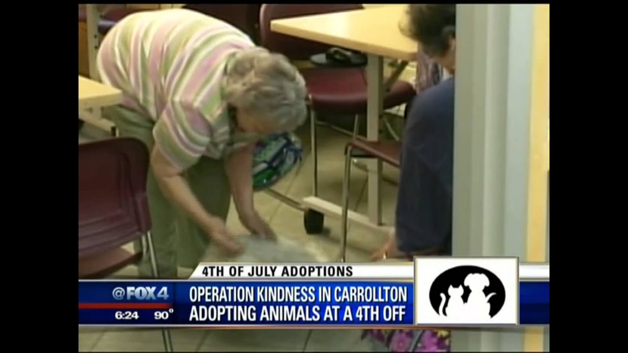 Operation Kindness Offers One-Fourth Off Adoptions for the Fourth - YouTube