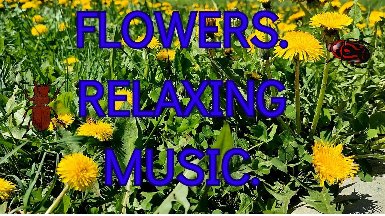 Flowers. Relaxing music. - YouTube