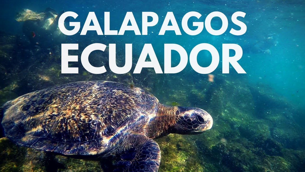 Ecuador 1 | Galapagos Islands - G Adventures - YouTube