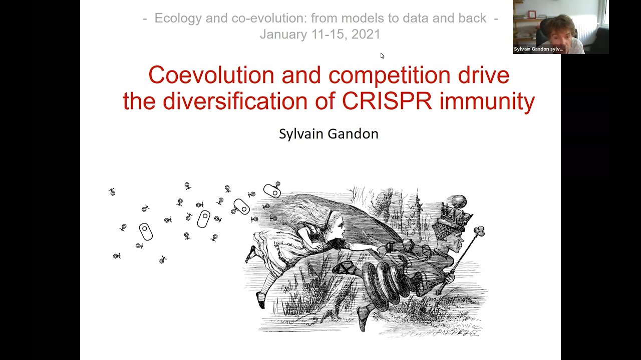 Coevolution and competition drive the diversification of CRISPR ...