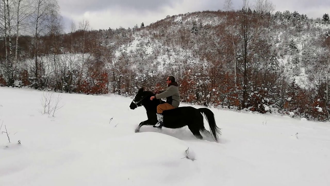 Deep Snow Horse Ride - YouTube