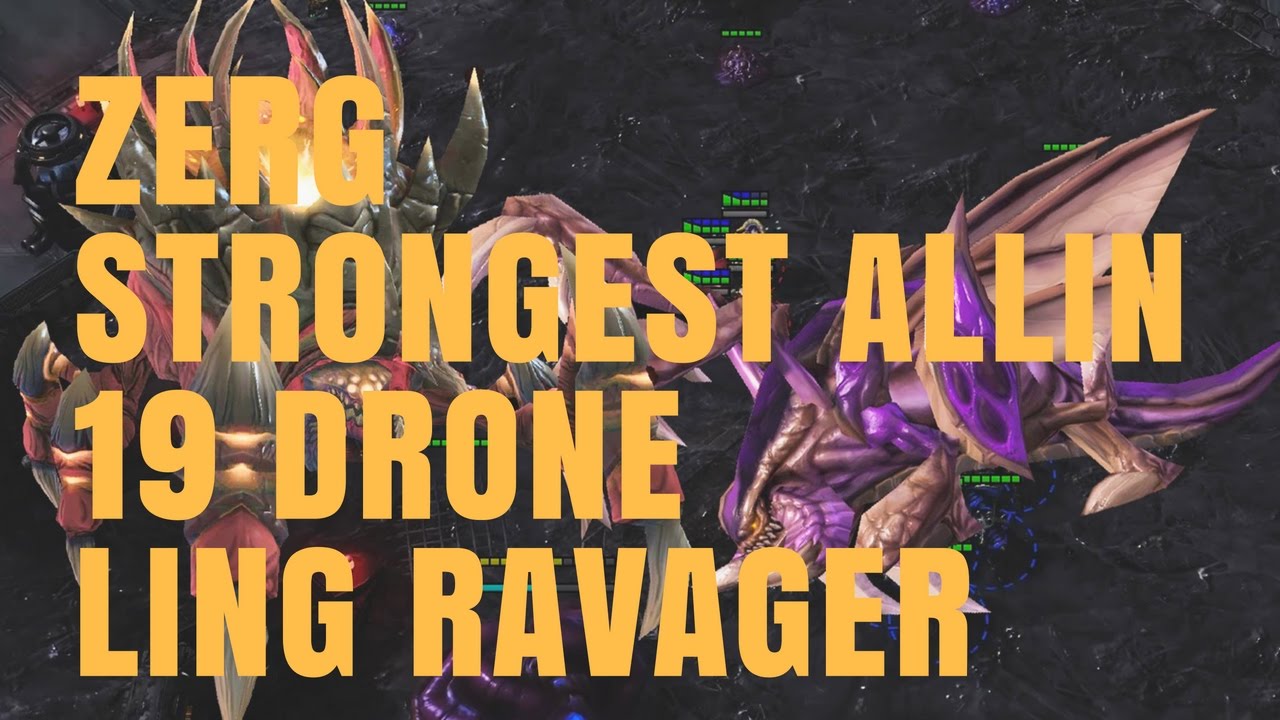 StarCraft 2: Ultimate Zerg Allin vs Every Race - 19 Drone Allin - YouTube