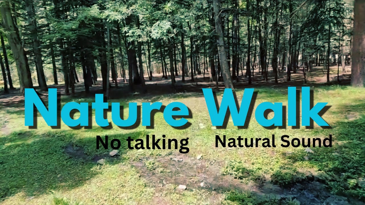 Nature Walk - No Talking - listening to nature sounds - YouTube