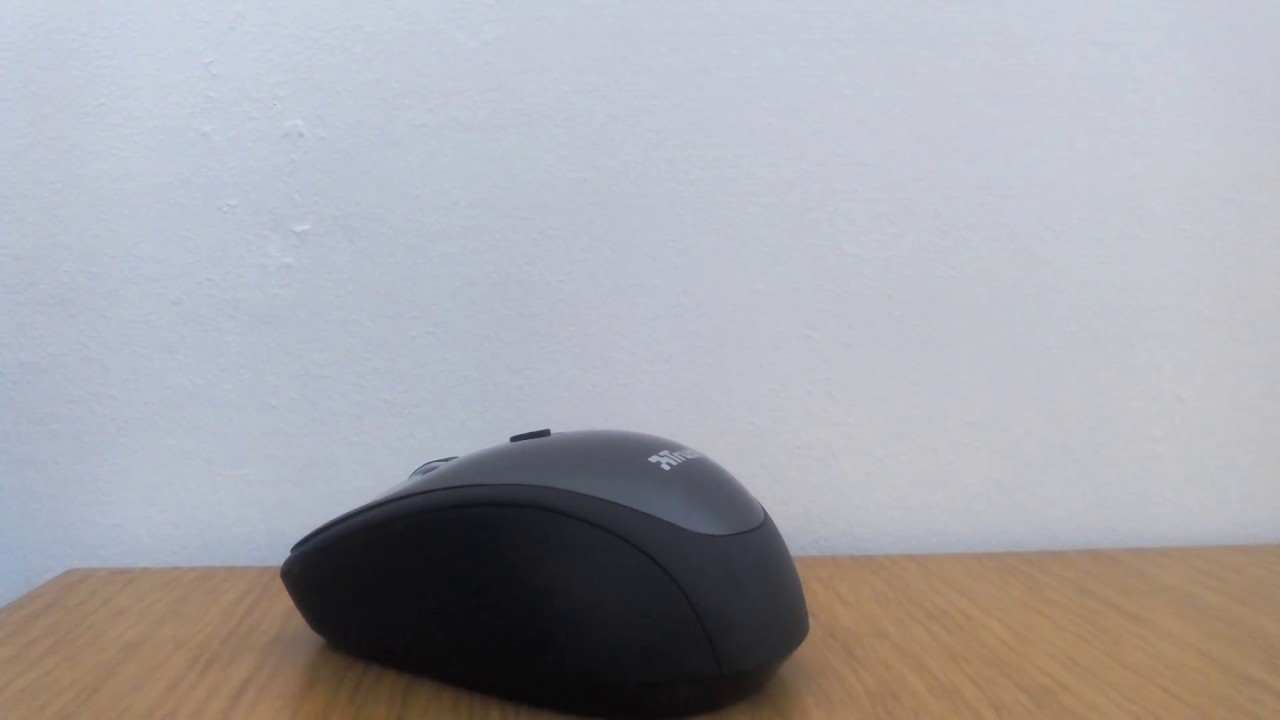 TimeLapse Ratón Explorador. - YouTube