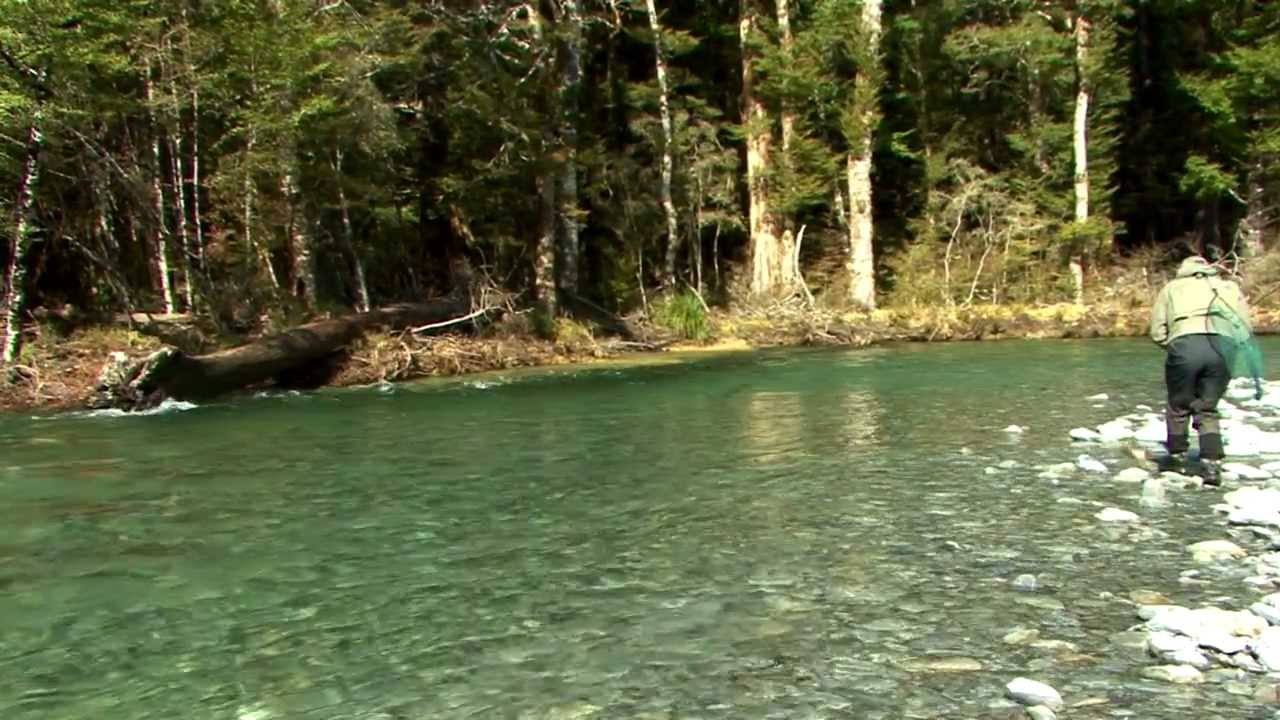 A day with Ray - Fly Fishing the Nelson region - NZ. - YouTube