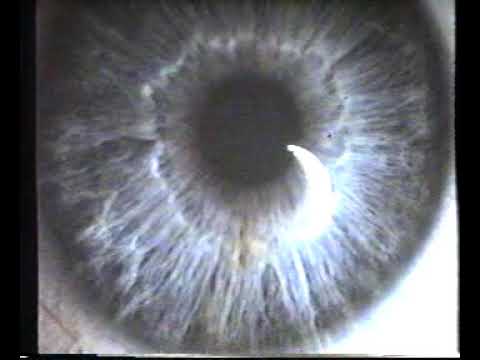 Body Electronics Instructor's Seminar - 1996 - Vol 25 - John Whitman ...