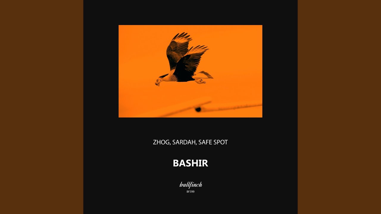 Bashir - YouTube