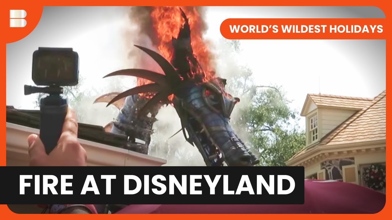 Honeymoon Horror & Theme Park Fire - World's Wildest Holidays - S01 ...