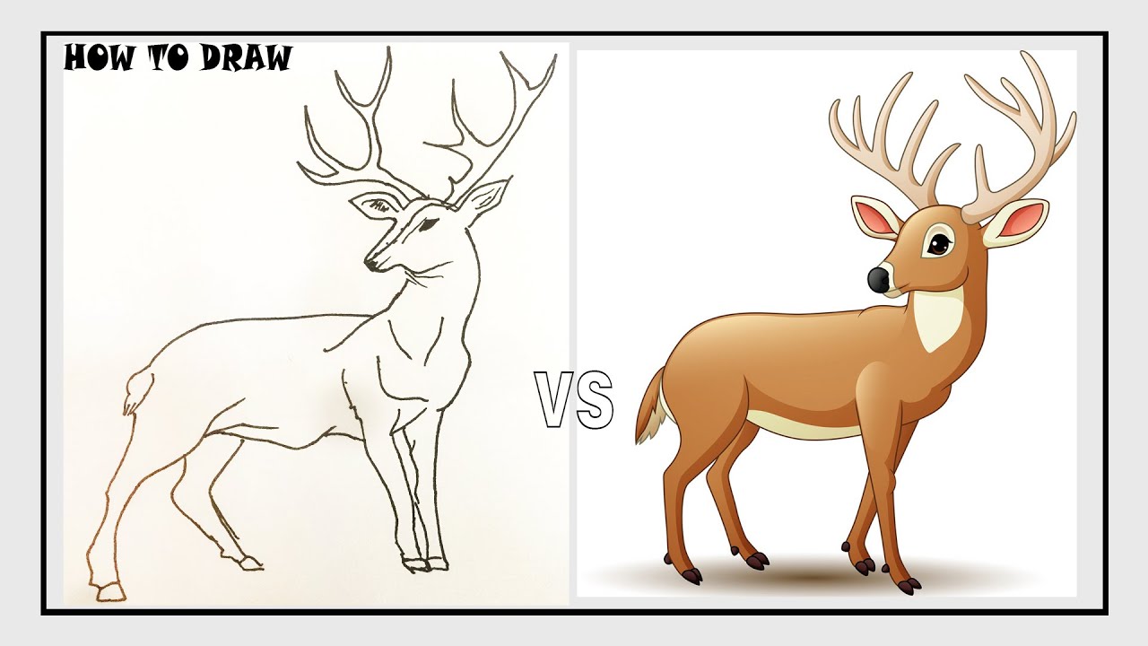 How To Draw Deer Draw Step By Step YouTube How To Draw Deer Draw Step By Step YouTube
