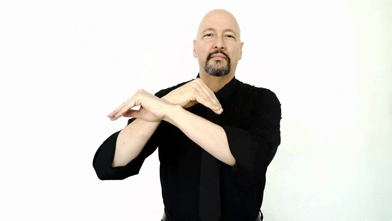 FLY - wings flapping - YouTube