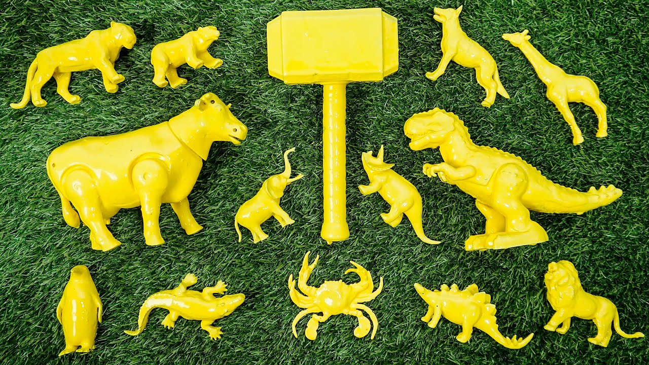 Membersihkan hewan sapi, bebek, gajah, beruang, singa, harimau, jerapah ...