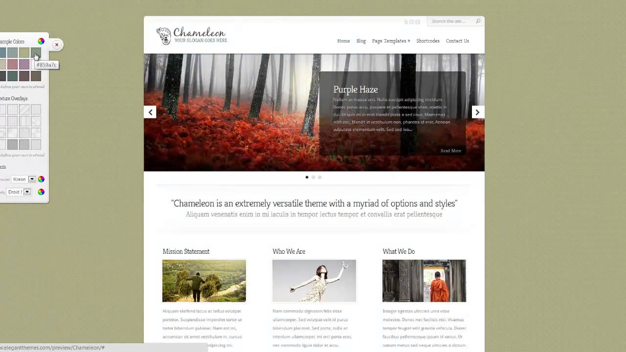 Chameleon Wordpress Theme by Elegant Themes - Review - YouTube