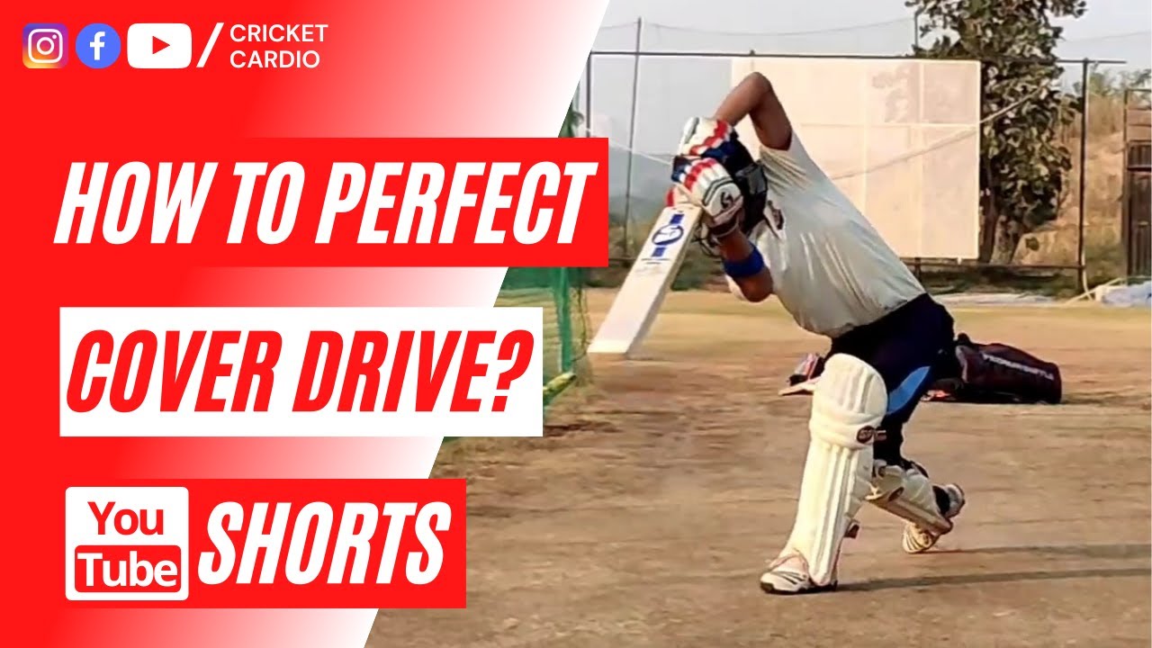 Drills to Perfect COVER DRIVE #Shorts #Youtubeshorts - YouTube