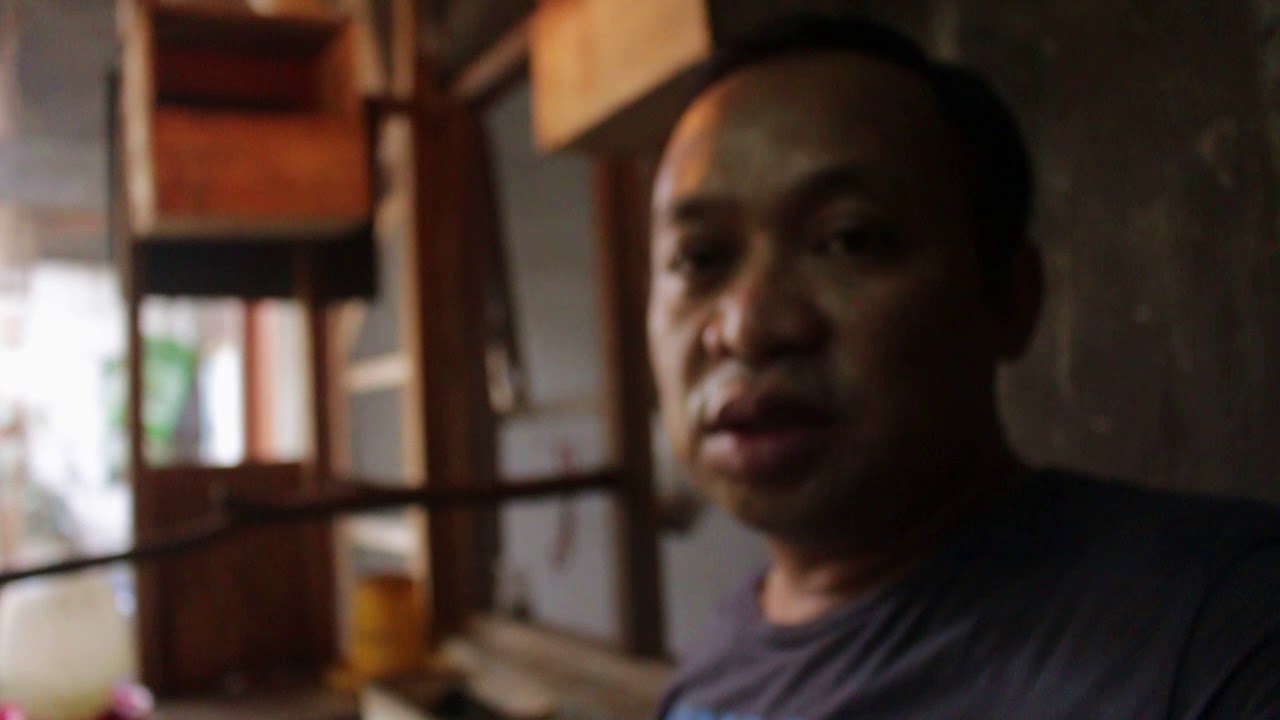 Tri sumono#jalak bali - YouTube