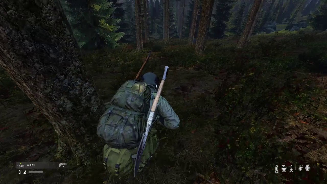 Dayz bugs and full action - YouTube