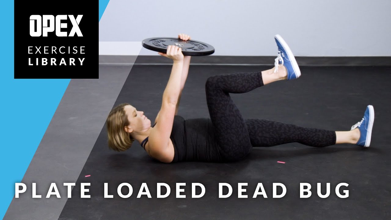 Plate Loaded Dead Bug - YouTube