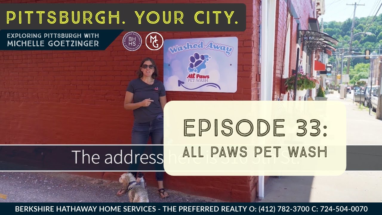 All Paws Pet Wash - Living Pittsburgh with Michelle Goetzinger - YouTube