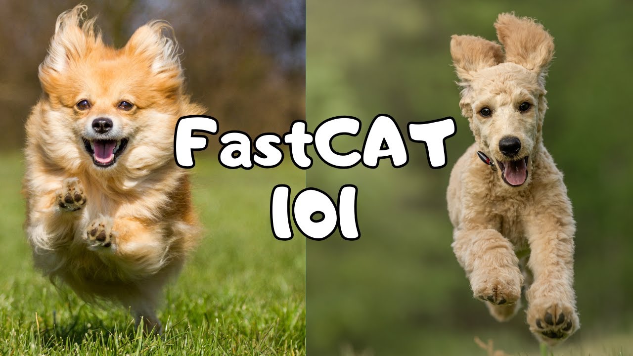 How To Start FastCAT - YouTube